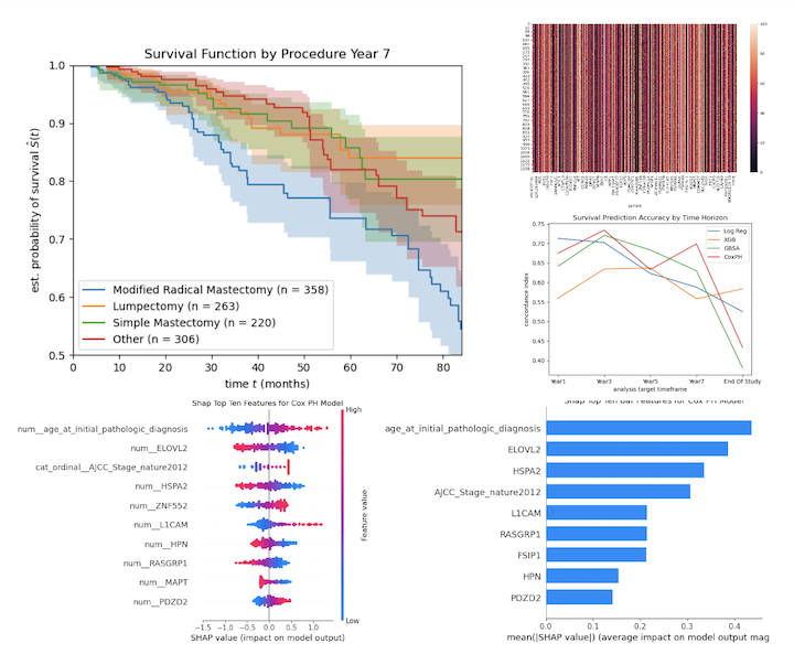 Breast Cancer Survival Prediction: Algorithms and Survival Factors ...